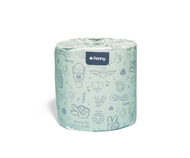 3-Ply Recycled Toilet Paper (Under $1.10/Roll) | Fanny